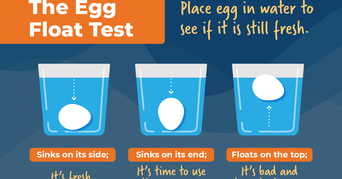 Egg Float Test | Matt Coon Agency Egg Float Test | Matt Coon Agency